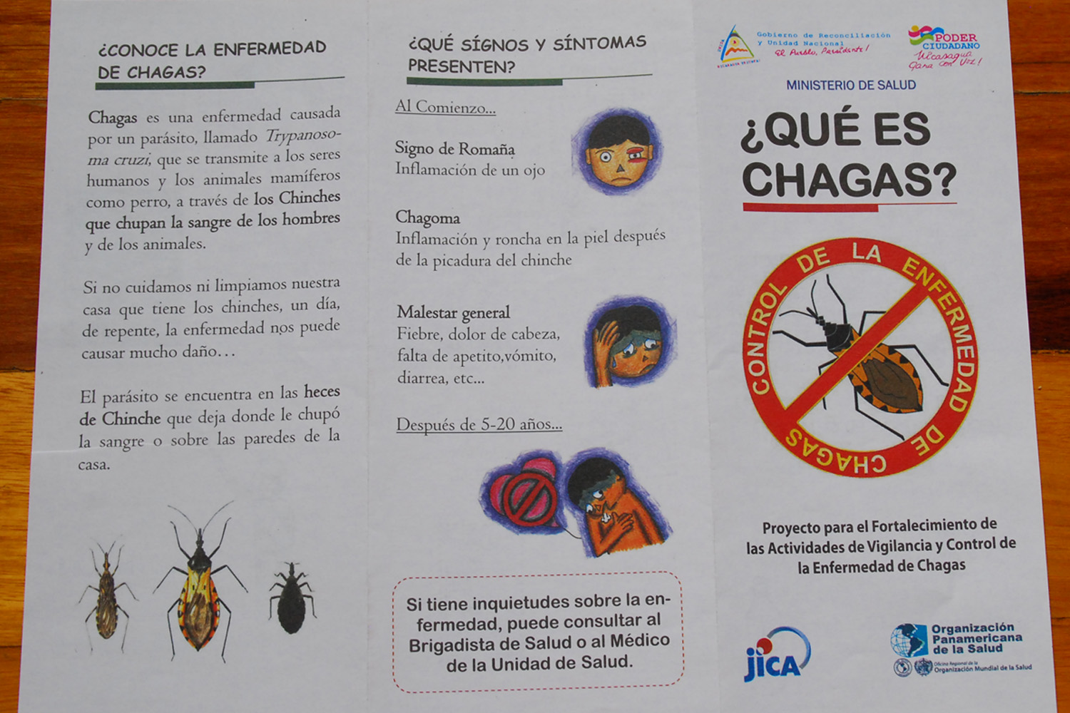 Enfermedad Chagas AMSOGRA